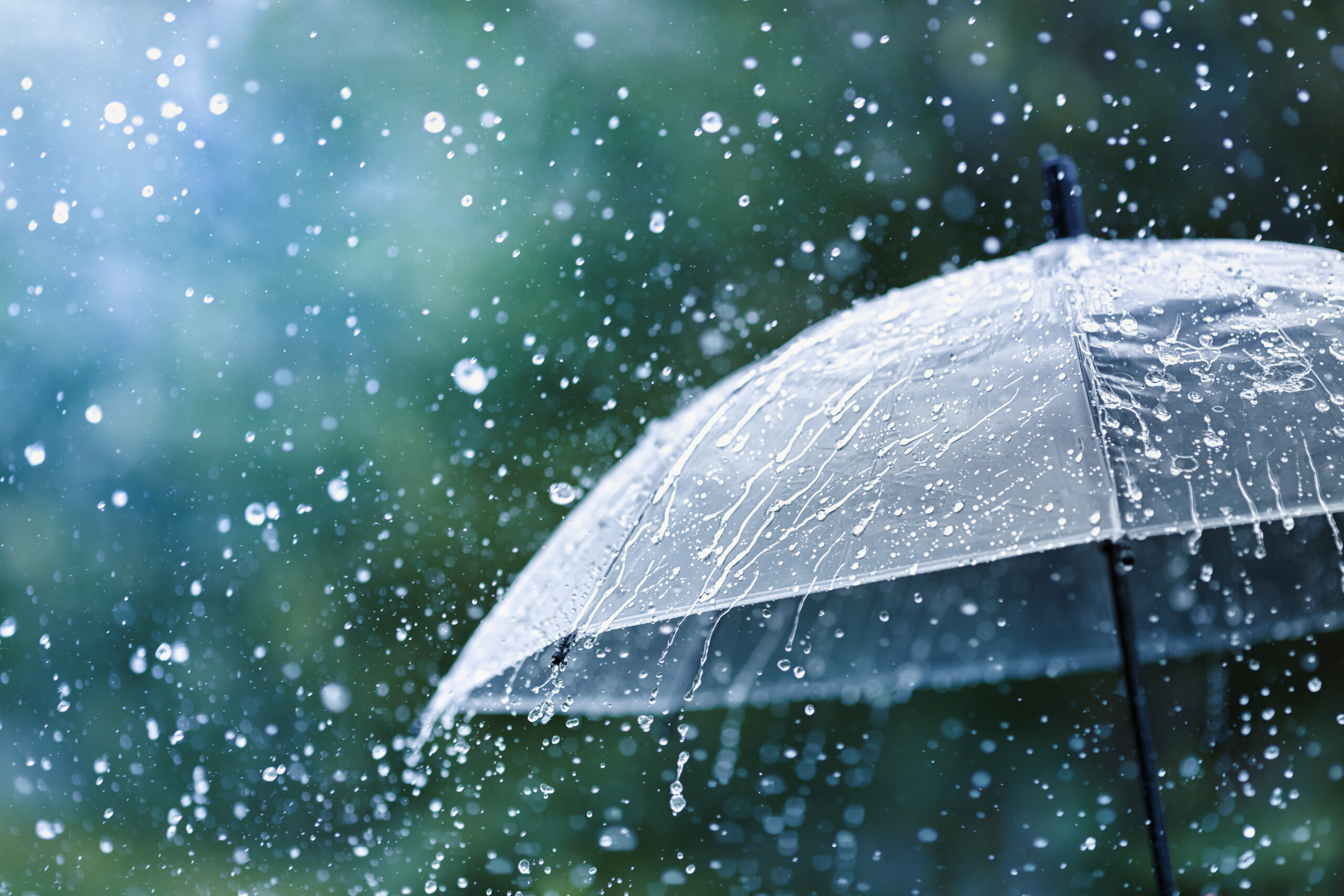 The Origins of the Umbrella: From Sunshade to Rain Shield | Fun Fact Feed