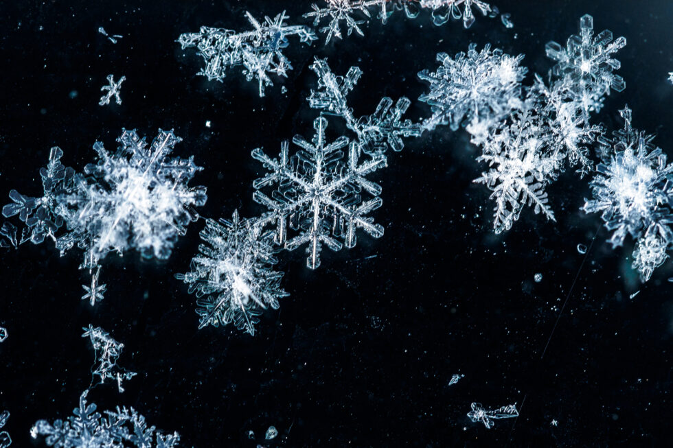 The World’s Largest Snowflake: A Winter Wonder | Fun Fact Feed