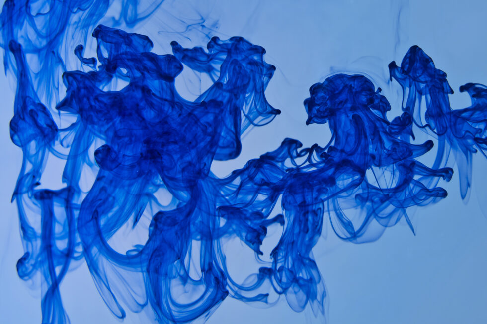 The Origins of the Color Blue—A Rare Hue in Nature | Fun Fact Feed