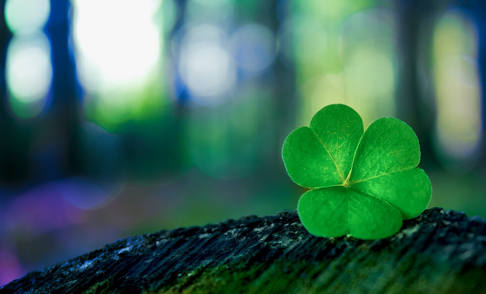 The Origins of the Shamrock—A Symbol of Ireland | Fun Fact Feed
